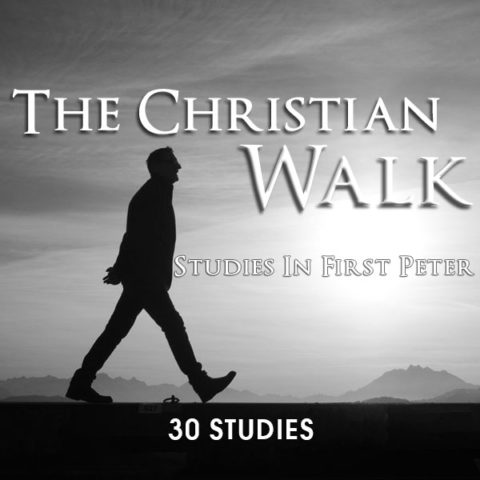 The Christian Walk - Biblical Thinking with Dr Andrew Corbett